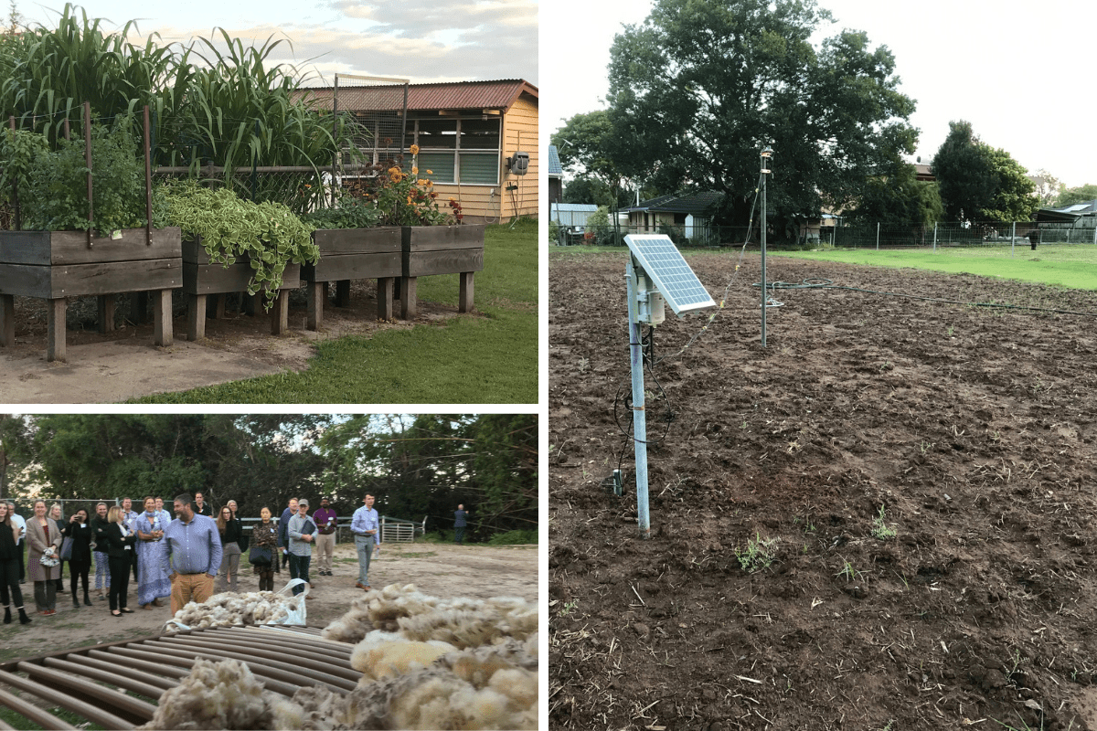 QLD Chapter Explores How Corinda State High School Achieved Carbon ...